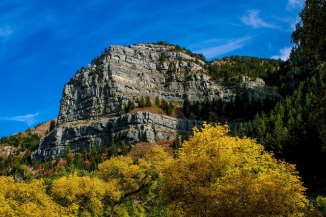 Yellow Creek Cliff - Beautiful places. Best places in the world. Shut ...