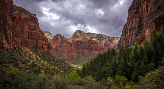 Fall at Zion - Beautiful places. Best places in the world. Shut up and ...