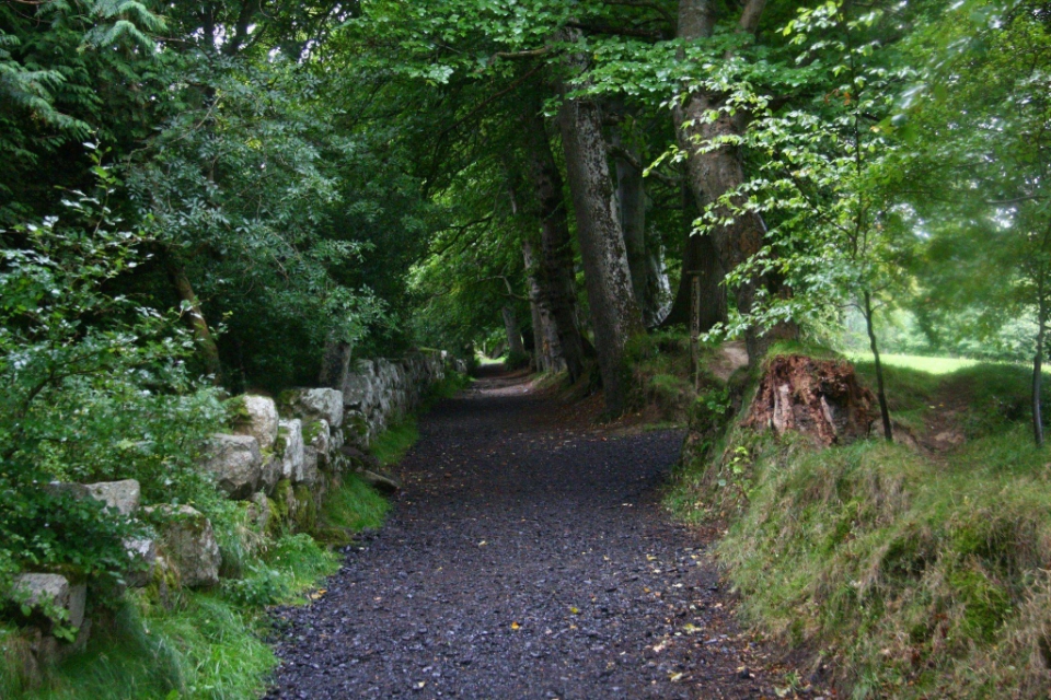 Path at a Irish Campsite - Beautiful places. Best places in the world ...