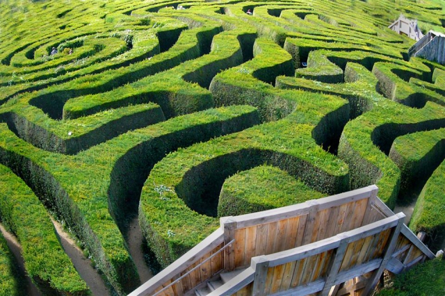 Longleat Hedge Maze, Warminster, England - Beautiful places. Best ...