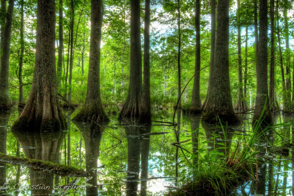 Stumpy Lake - Beautiful places. Best places in the world. Shut up and ...